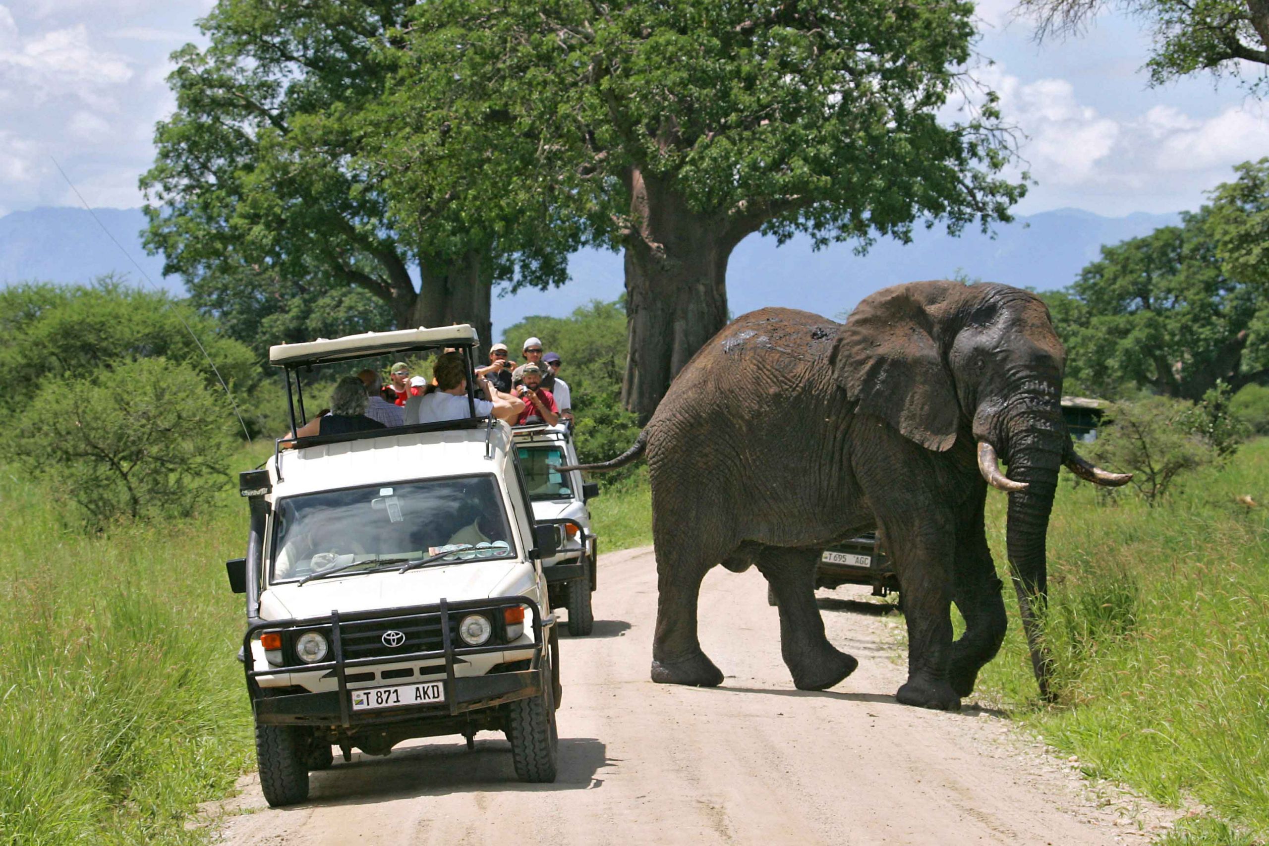 About us – Mountain Warriors Tours and Safaris