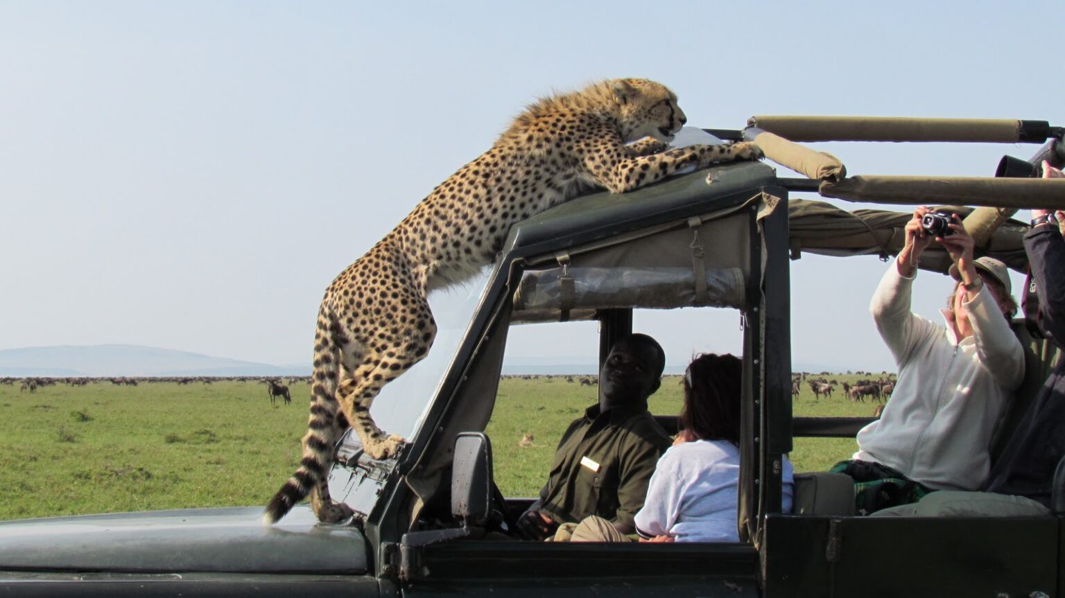 Great Migration – Tanzania’s most beautiful highlights – Mountain ...